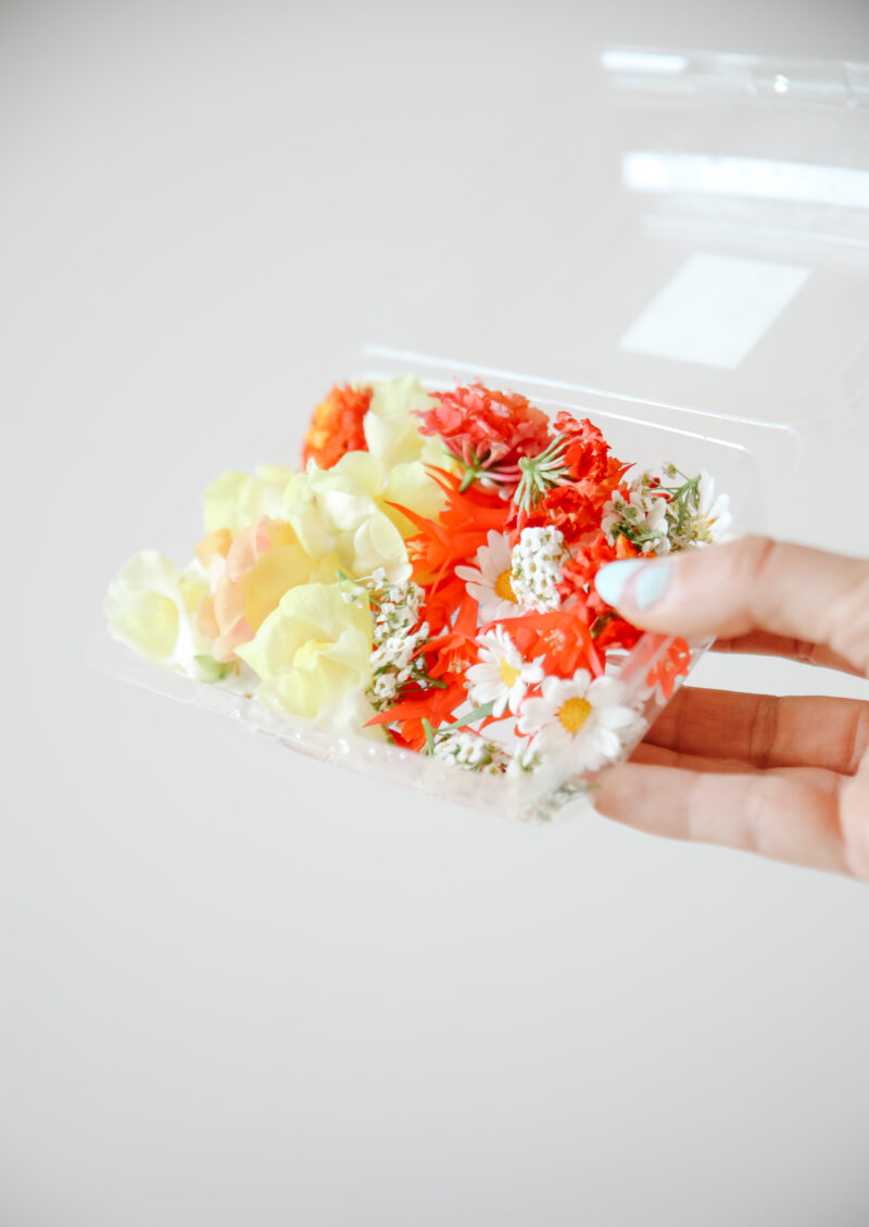 Let's Make These Adorable Fresh Strawberry Spring Rolls! - Hey Maca